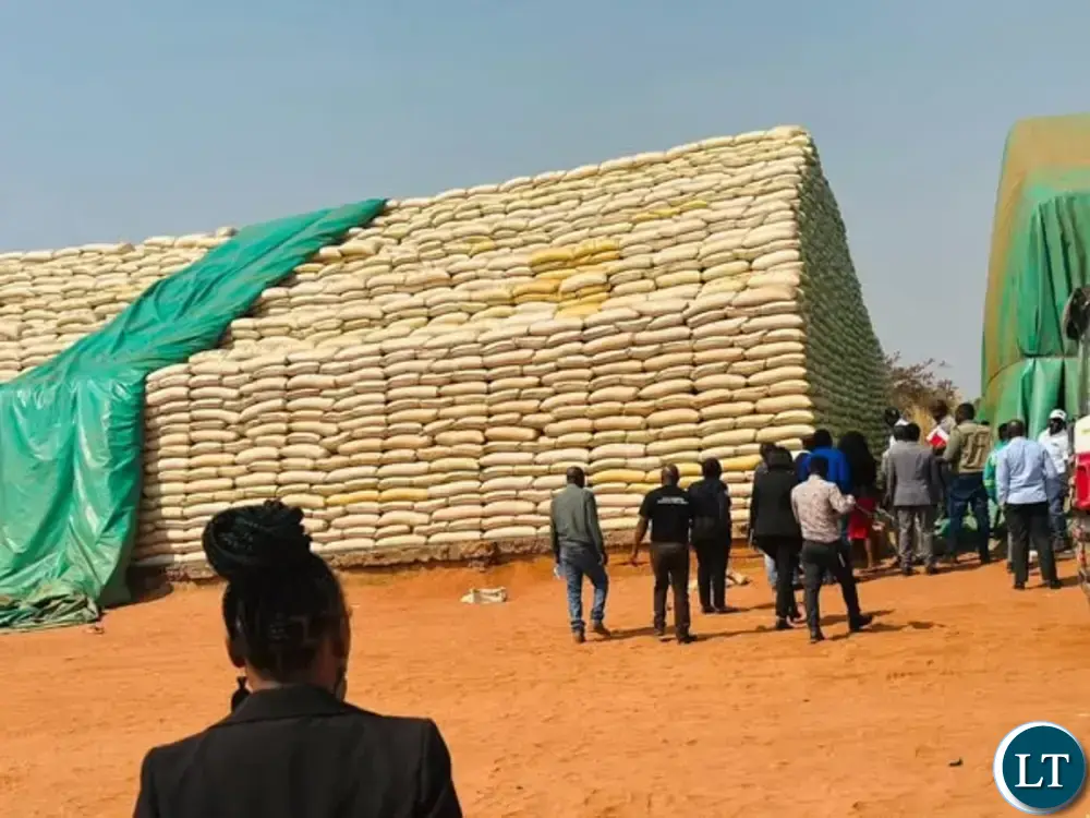 Zambia : Increase in purchase of maize by FRA puts pressure on storage ...