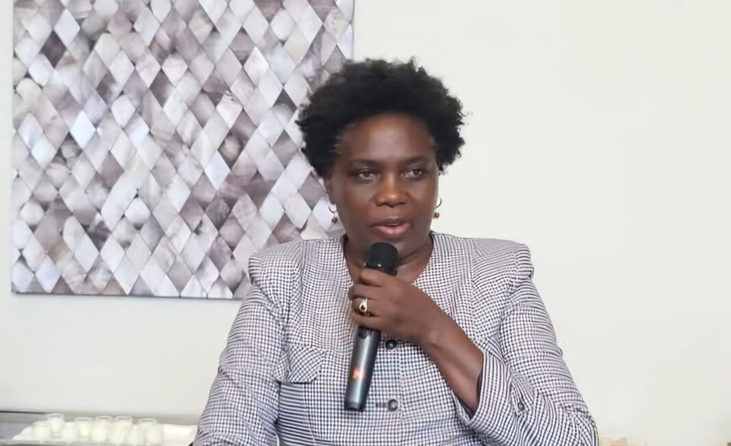 Zambia : Stakeholders Boycott Bill 7 Consultations, Cite Illegality