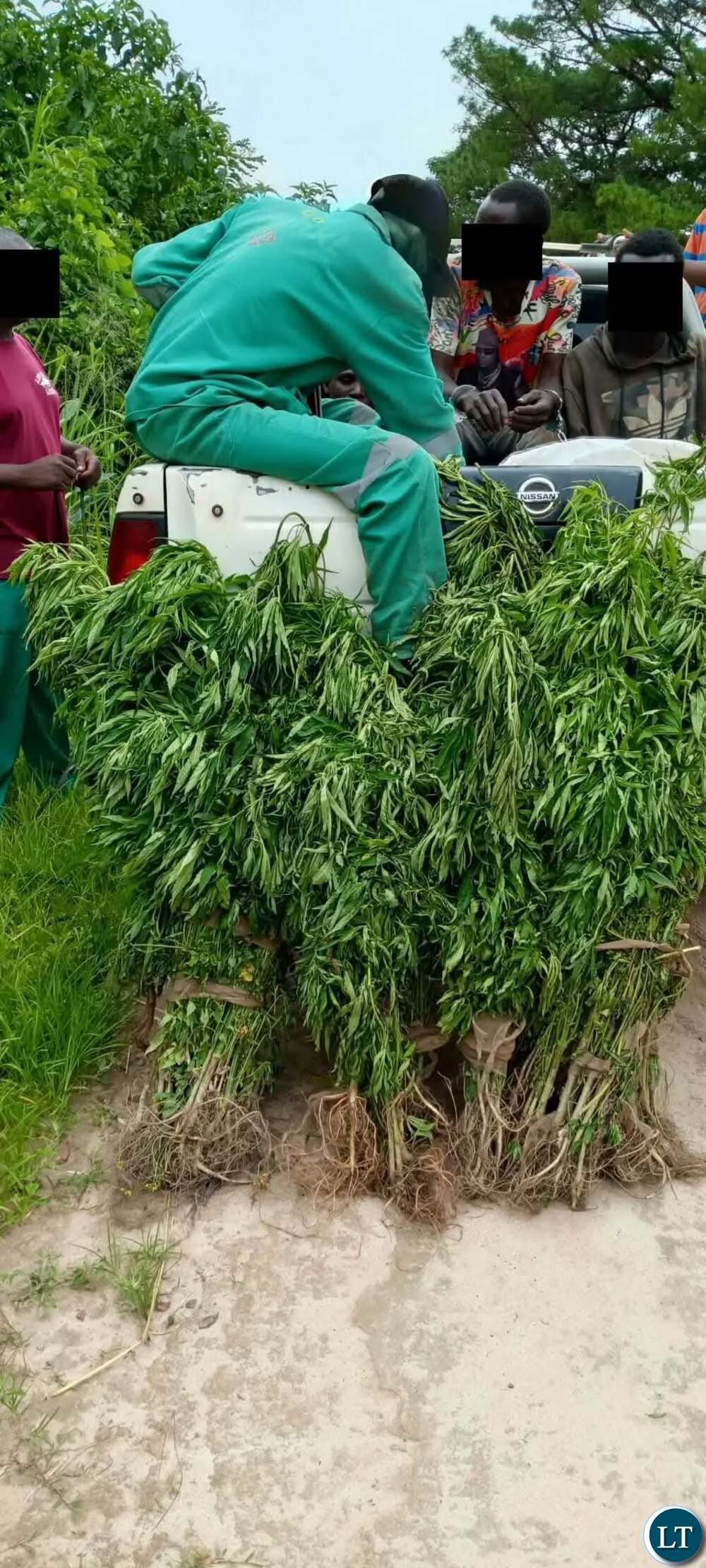 Zambia : DEC Arrests Eight Suspects for Drug-Related Offences in North ...