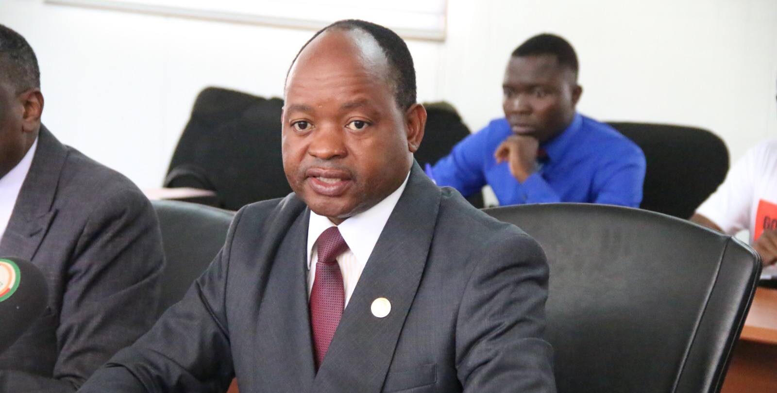 Zambia : HH not involved in Mundubile probe, says Mweetwa